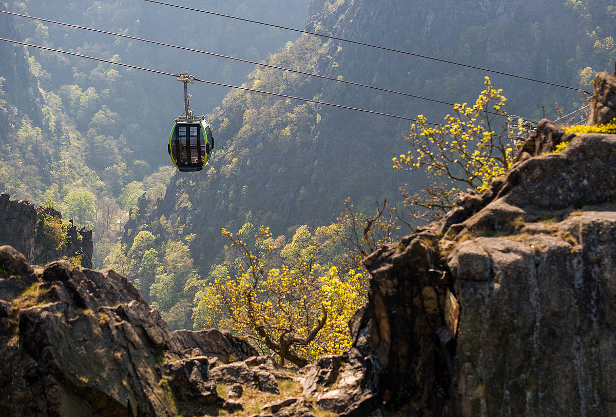 Seilbahnen Thale GmbH: Kabinenbahn