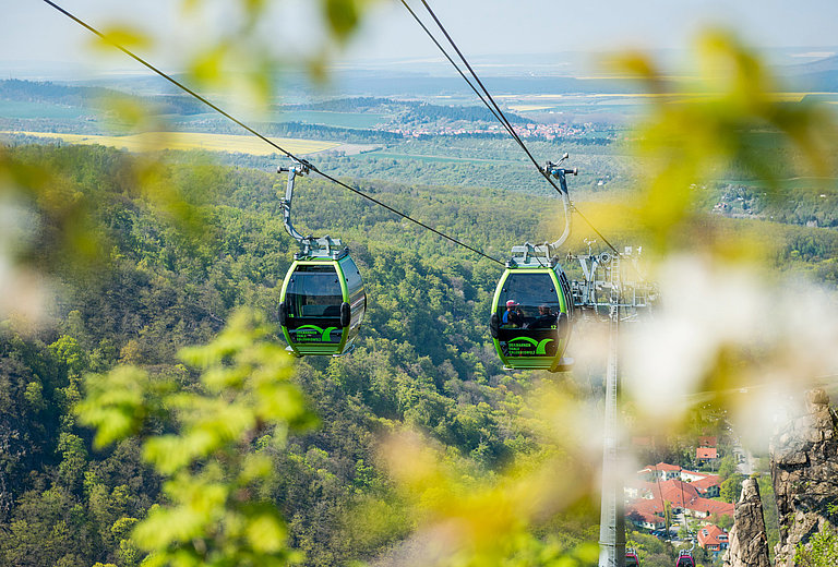 Seilbahnen Thale GmbH: Kabinenbahn
