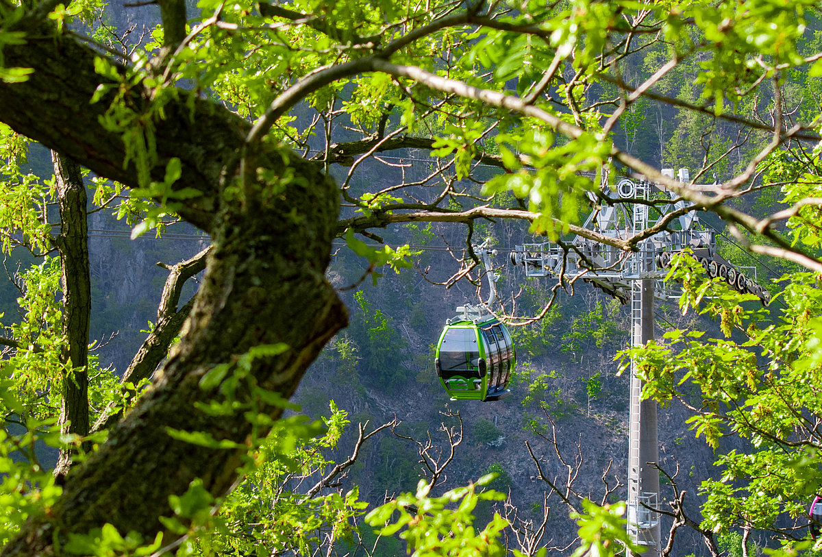 Seilbahnen Thale GmbH: Kabinenbahn